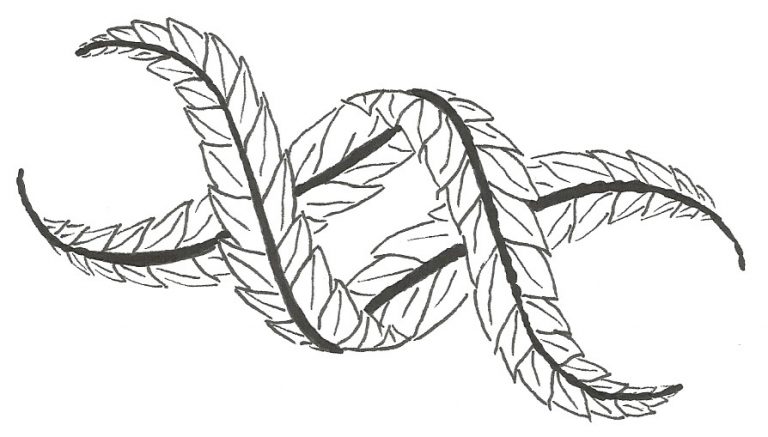 La genètica a l'URSS - Karpechenko i Lysenko - Ciència Oberta