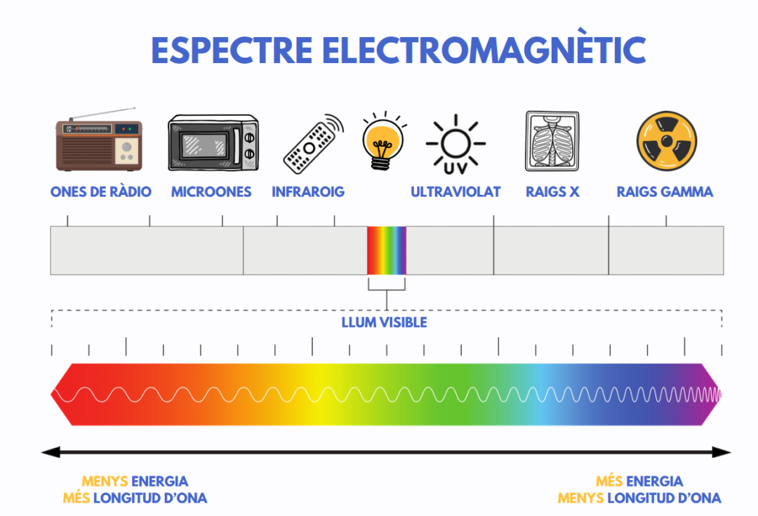 Més enllà del visible: Imatges per al diagnòstic mèdic - Física mèdica ...